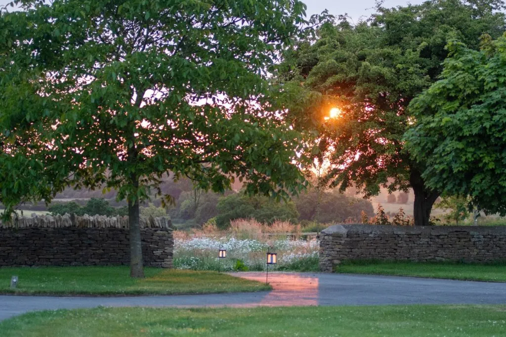 Rooted in Light: Why Daylight Matters in Design | The Rooflight Co.